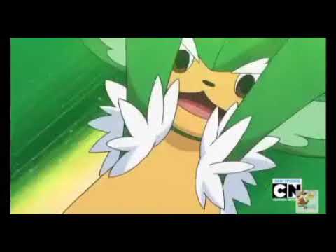 Simisage vs scraggy : Pokémon black & White - YouTube