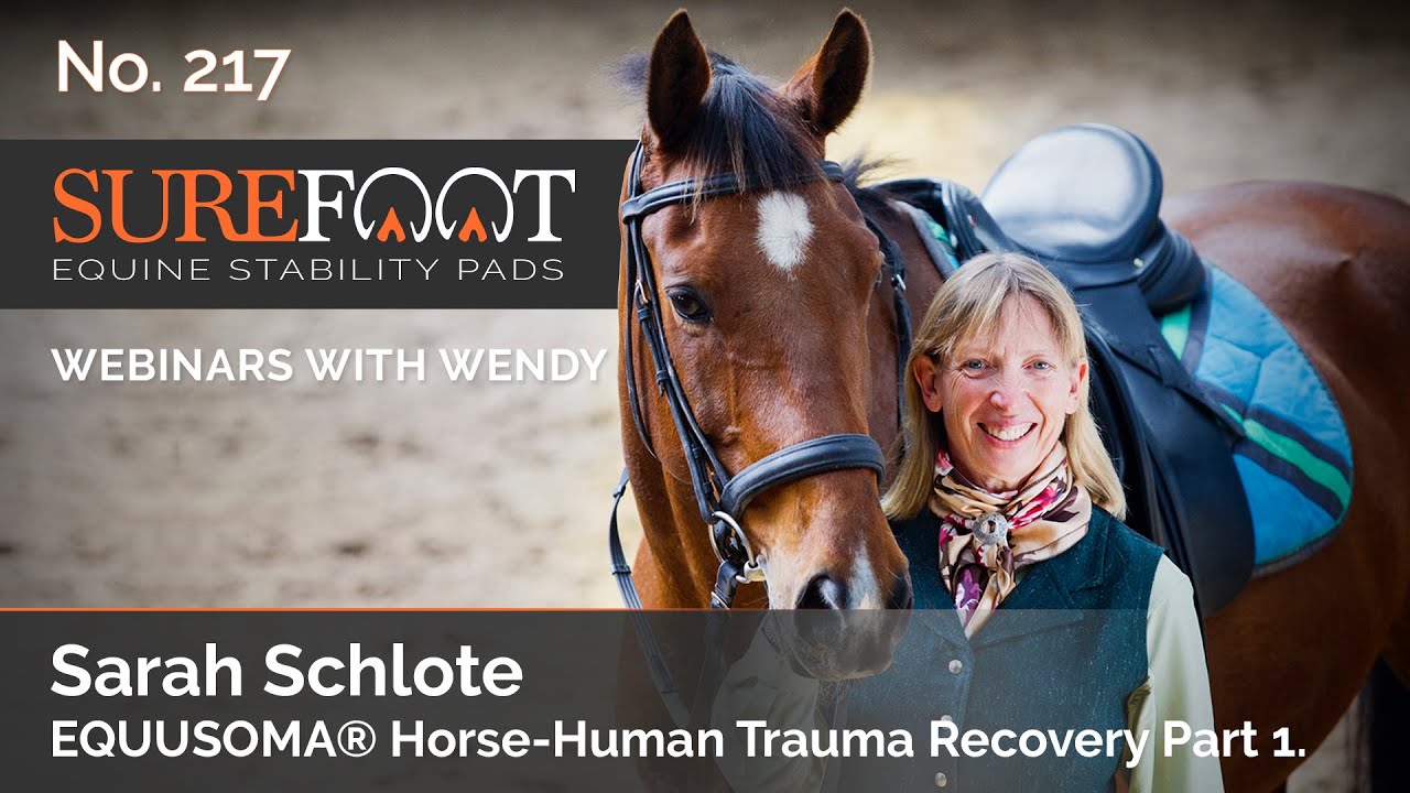 No. 217. Sarah Schlote EQUUSOMA® Horse-Human Trauma Recovery Part 1 ...