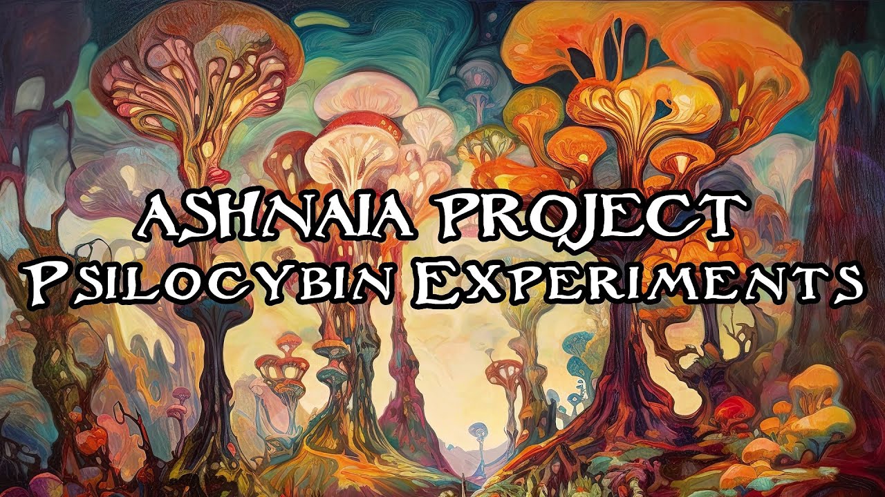 Ashnaia Project - Psilocybin Experiments | Chill Space - YouTube