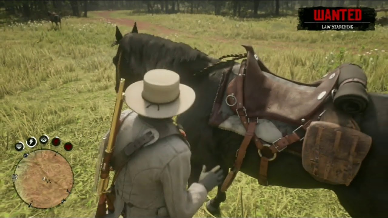 Red Dead Redemption 2 failed recordings - YouTube