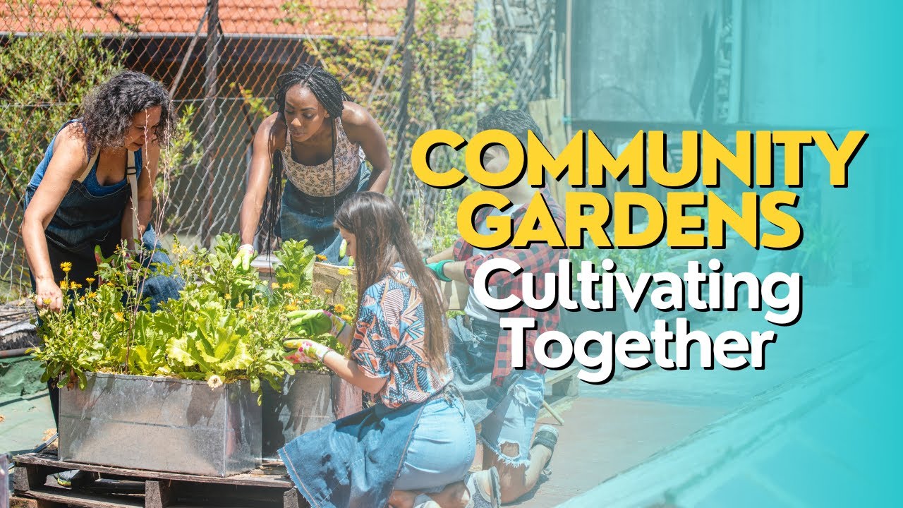 Community Gardens: Cultivating Together - YouTube