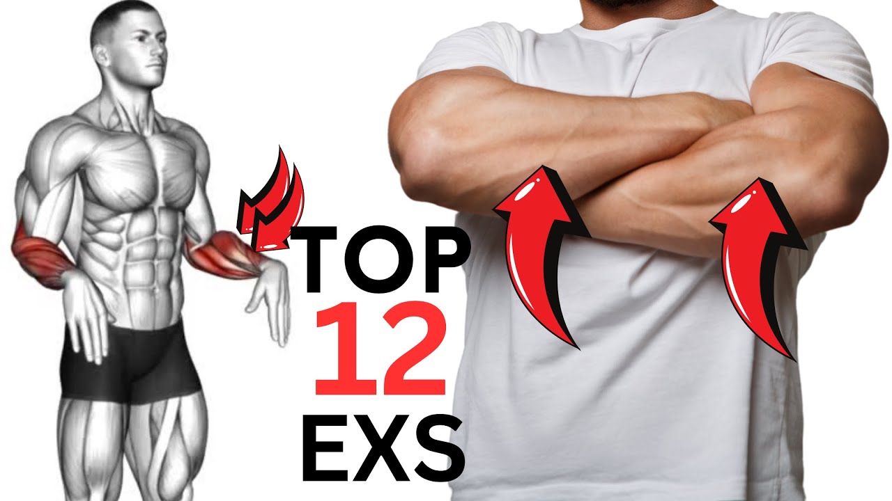 "Build Impressive Forearms: The 12 Best Exercises for Stronger and ...