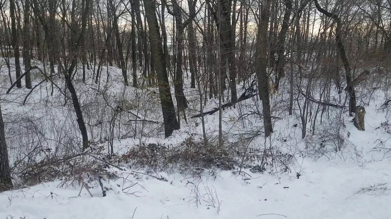 Squatching Minnesota - VIDEO 1 - YouTube