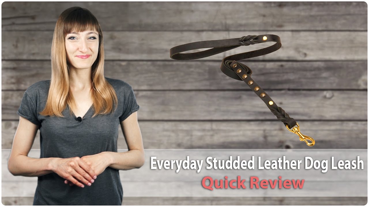 Studded Leather Dog Leash for Walking and Tracking - Biddable Doggie ...