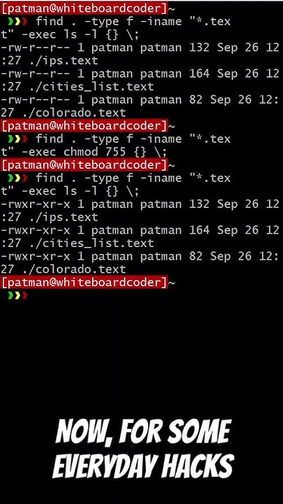 Linux Find And Exec Coding Linux Linuxtutorials Linuxcommandlinetutorial Ubuntu Sysadmin