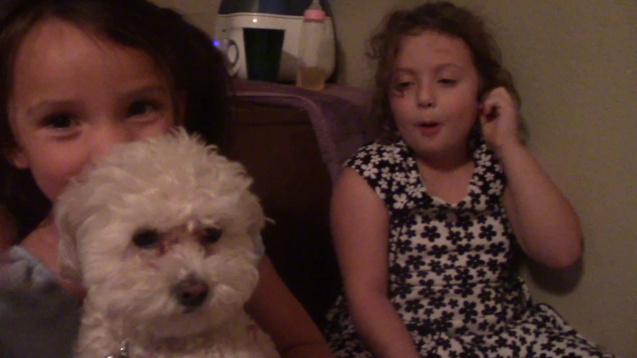 Jingle Bells sung by Sarah and Rachel over and over what FUN!!! - YouTube