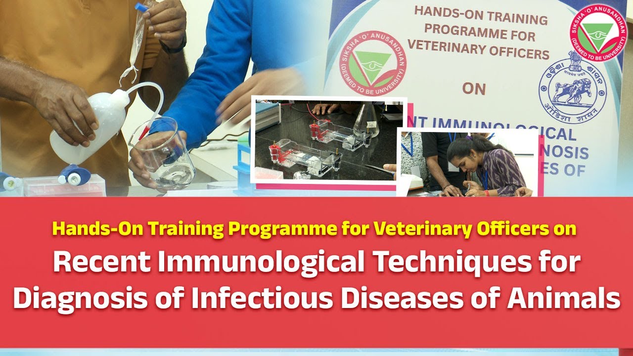 Hands-On Training Programme for Veterinary Officers | IVS AH - YouTube