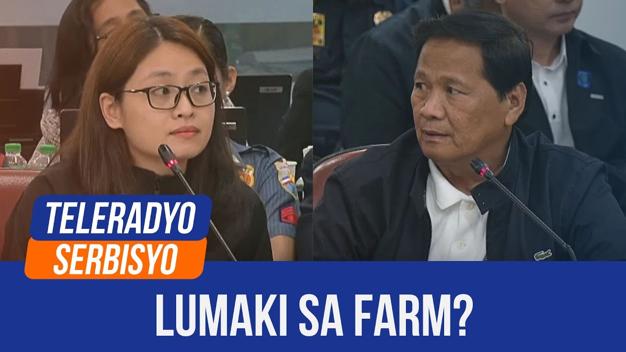 Bamban vice mayor believes Alice Guo grew up in a farm | Teleradyo ...