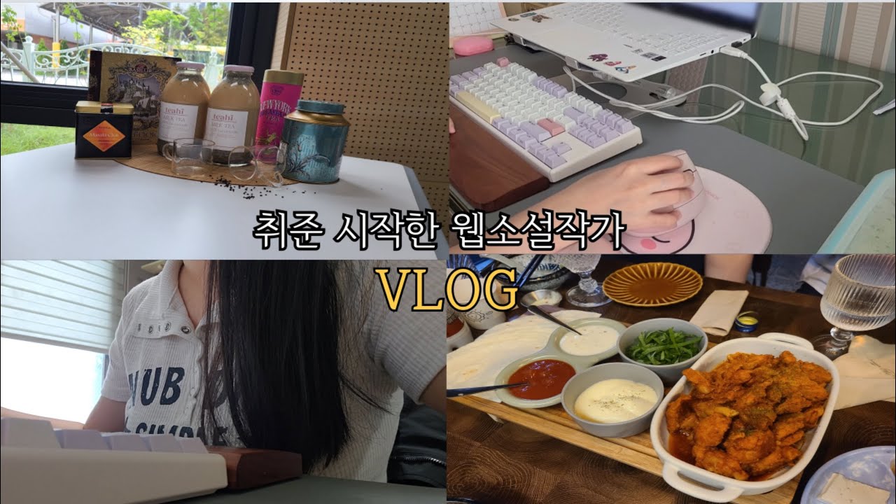 Vlog55 진짜 취준 시작하는 웹소설작가 브이로그 신작 투고 돌리기 오픽과 인적성 시작할 결심 기획 직무 특강