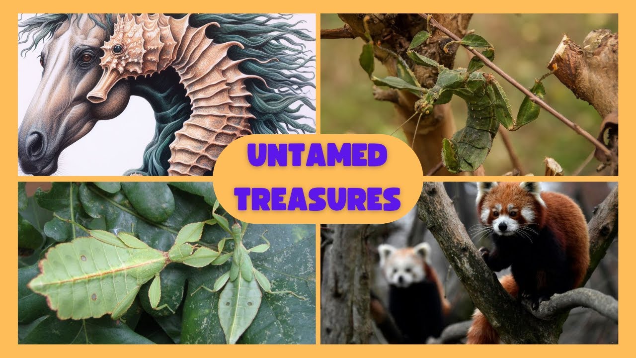 Untamed Treasures | 5 untamed animals facts - YouTube