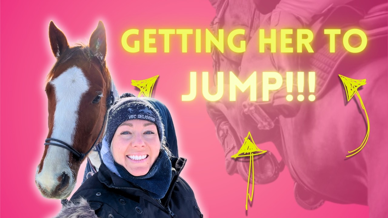 What to do When Your Horse Refuses a Jump! (Groundwork 101) | EP 6 ...
