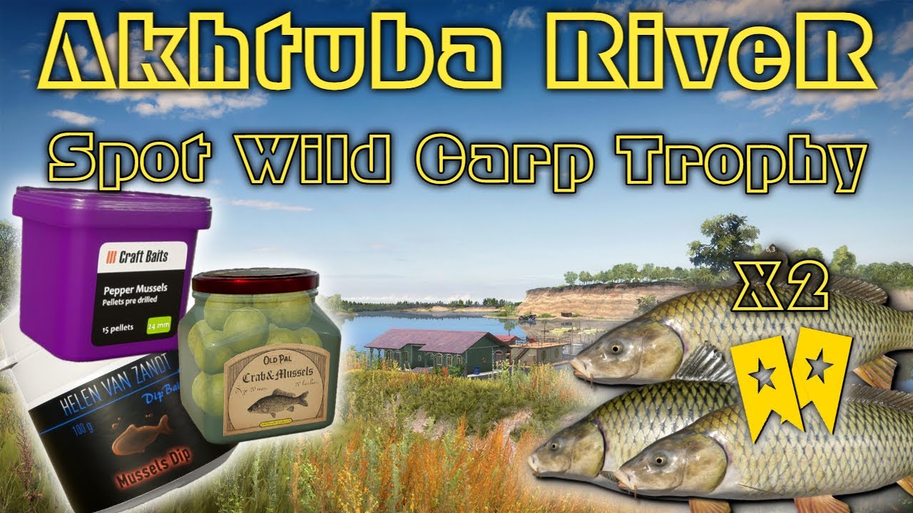 Russian Fishing 4 RF4 Akhtuba River Active spot Wild Carp - YouTube