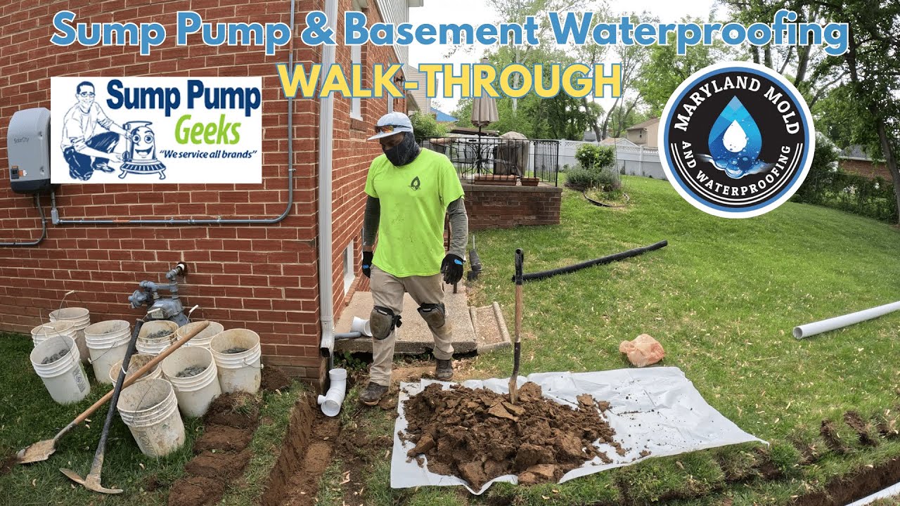 Watch this INTENSE Job Walk-through With Maryland Mold and ...