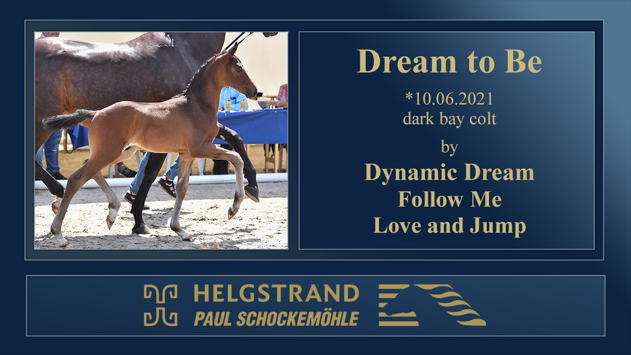 08 Dream to Be by Dynamic Dream - Follow Me - Love and Jump - YouTube