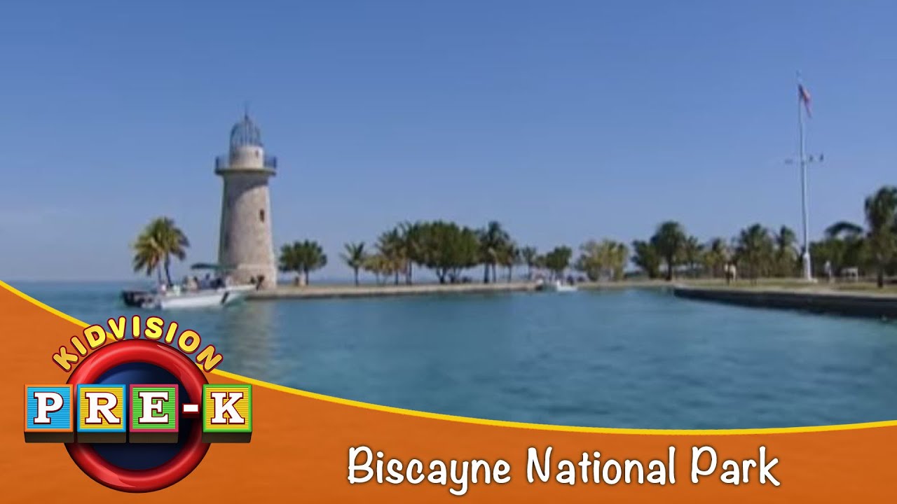 Biscayne National Park | Virtual Field Trip | KidVision Pre-K - YouTube