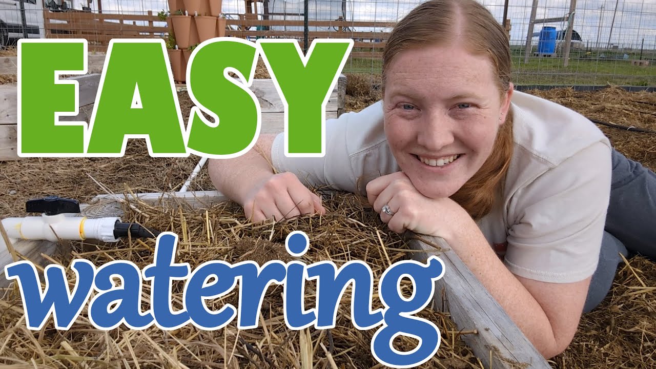 NEW Garden Irrigation to MAKE WATERING EASY! - YouTube