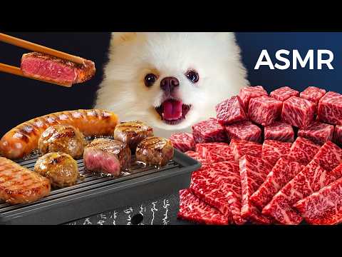 ASMR Mukbang | Yue the Pomeranian Eating Korean BBQ Steak, Sausage & Spam