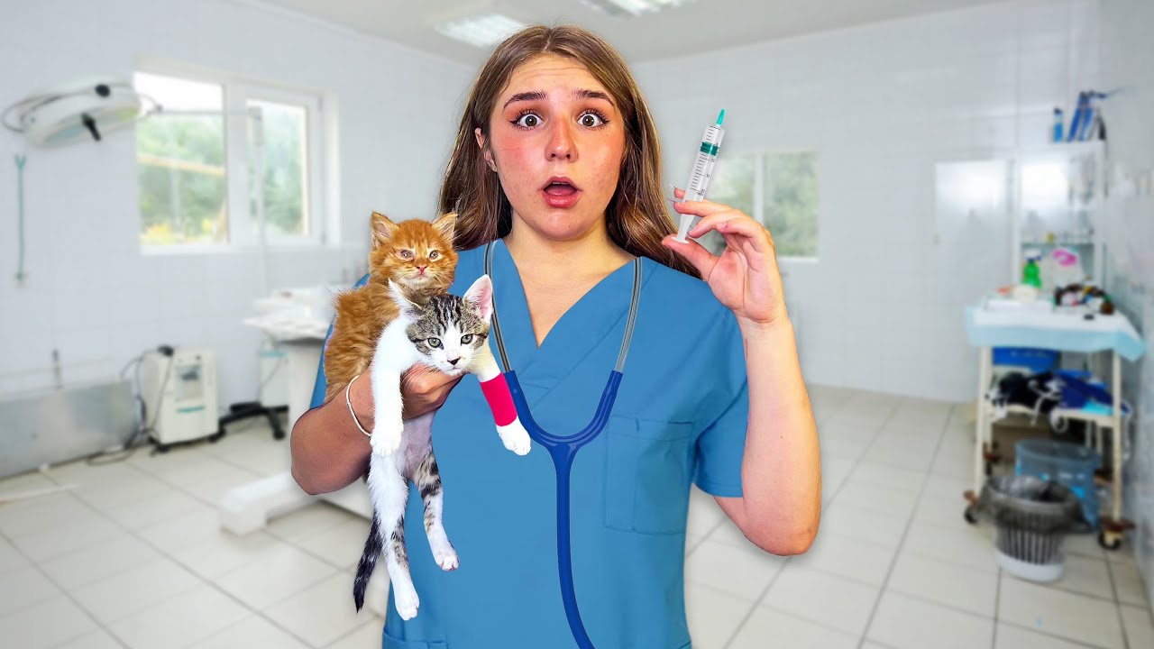 I Became A VET For The Day 🐶🐱 - YouTube