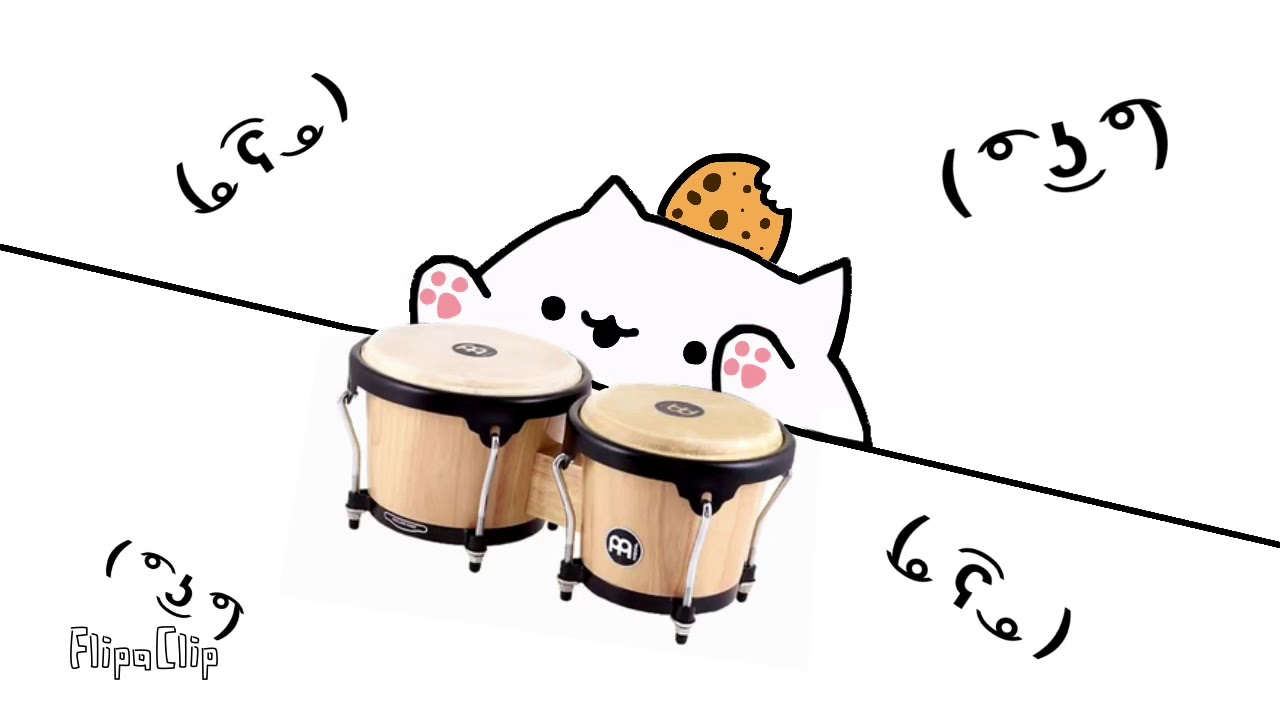 Bongo Cat Animation l Song By CG5 l Luckythedutchie - YouTube