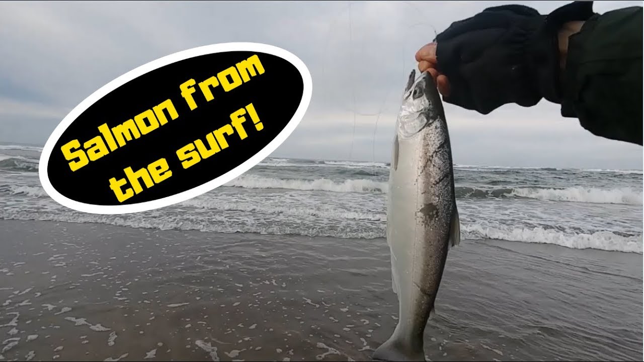 Oregon Coast Surf Fishing | Salmon Double on Gulp Sandworms! - YouTube