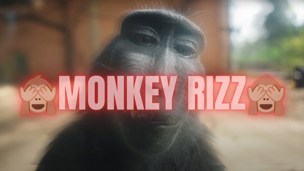 Monkey RIZZ - YouTube