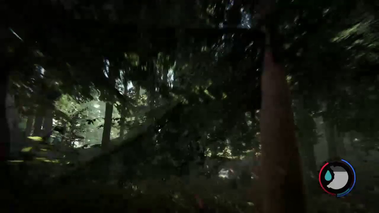 The Forest live - YouTube