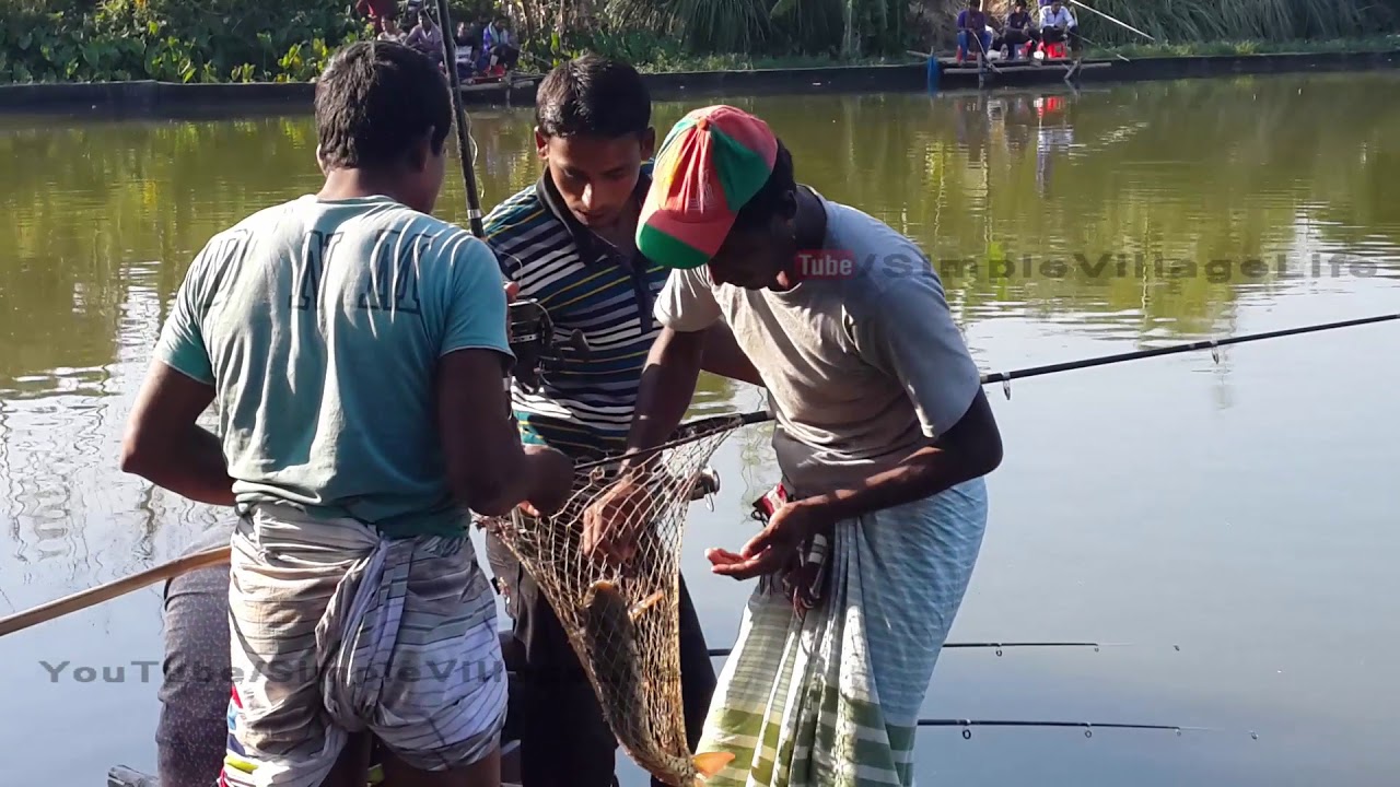 Best Fish Hunting - Outstanding Fishing in My Village using rod - YouTube
