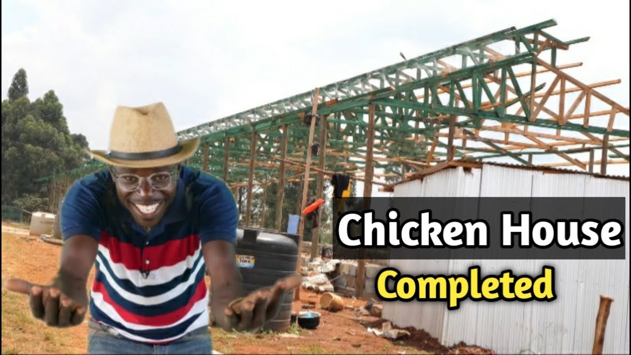 CHEAP CHICKEN HOUSE CONSTRUCTION - YouTube