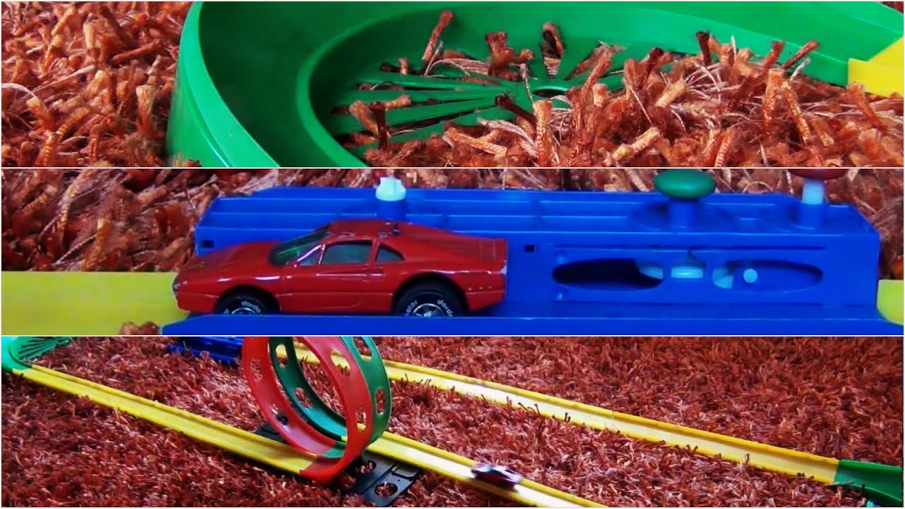 Die DARDA Bahn: (m)ein ultimativer Spielzeug-Klassiker aus den 80ern ...