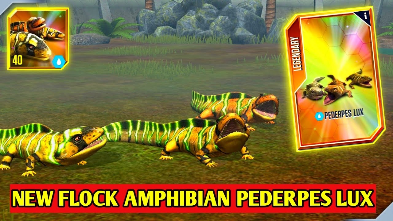 NEW FLOCK AMPHIBIAN PEDERPES LUX FIRST LOOK , FEED & BATTLE | JURASSIC ...