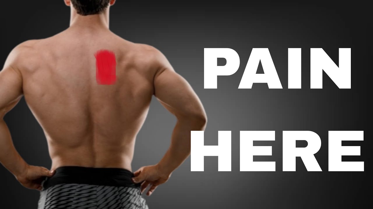 Scapula & Thoracic ( Midback ) Pain Relief | Spine Chiropractic - YouTube