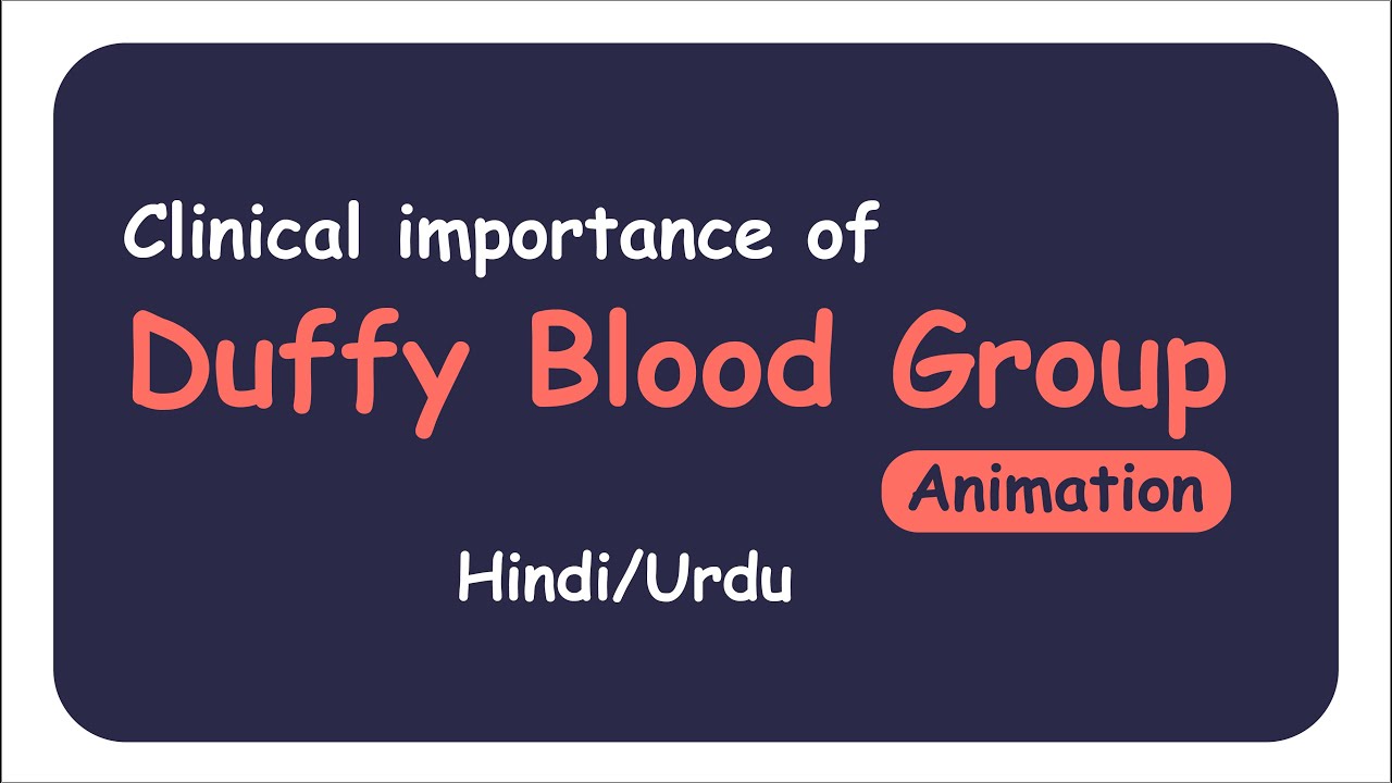 Clinical Importance of duffy blood group | Duffy blood group genotyping ...