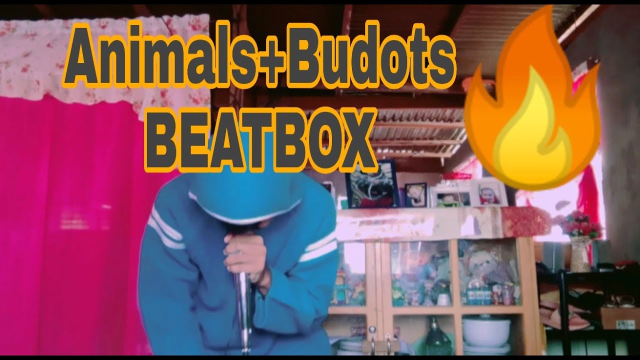 ANIMALS AND BUDOTS BEATBOX - YouTube