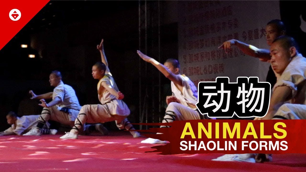 8 SHAOLIN ANIMALS Styles | INCREDIBLE Shaolin Kung Fu Warrior Monks ...