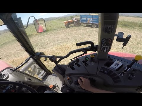 CASE 115C FARMALL KABİN İÇİ SİLAJ YAPARKEN