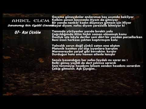 Osii B- Aşk Çiçeğim