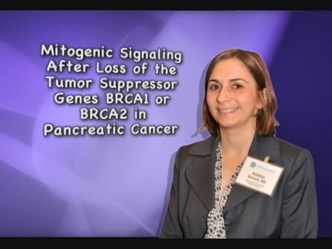 Dr. Bullock - Mitogenic Signaling of Tumor Suppressor Genes in ...