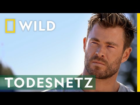 Wie hält man Haie auf Abstand? | Hai Life