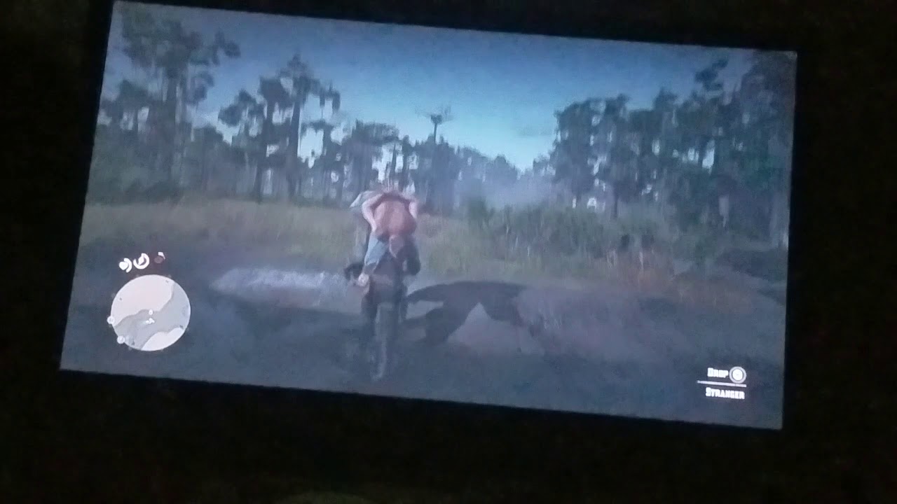 Rdr2 arthur feeding sonny to the alligator - YouTube