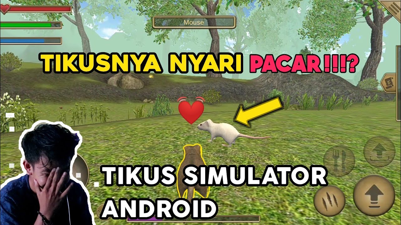 MOUSE SIMULATOR Game simulator tikus,, Game santai lucu - YouTube
