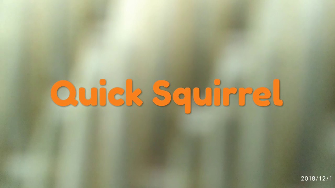 Quick Squirrel - YouTube
