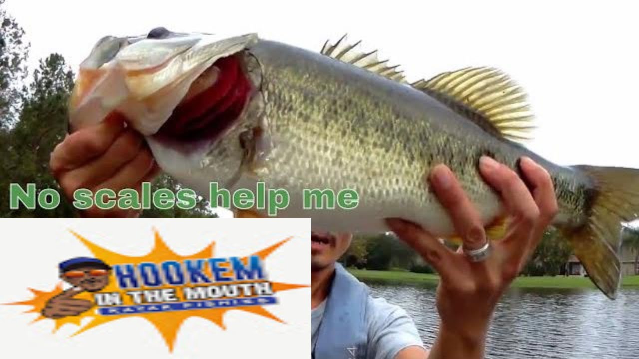 SUBSCRIBER SHOUTOUT! FLORIDA Caught a PIG! Fall bass Fishing! Kayak ...