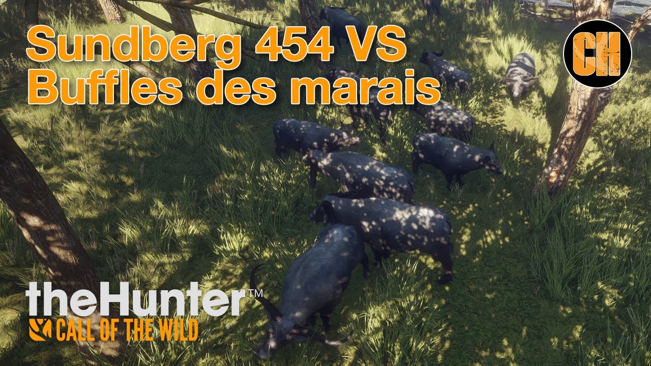 THE HUNTER CALL OF THE WILD Chasse au Buffle avec le Sundberg 454 - YouTube