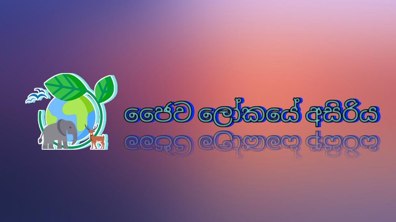 ජෛව ලෝකයේ අසිරිය Grade 6 Free Class Youtube