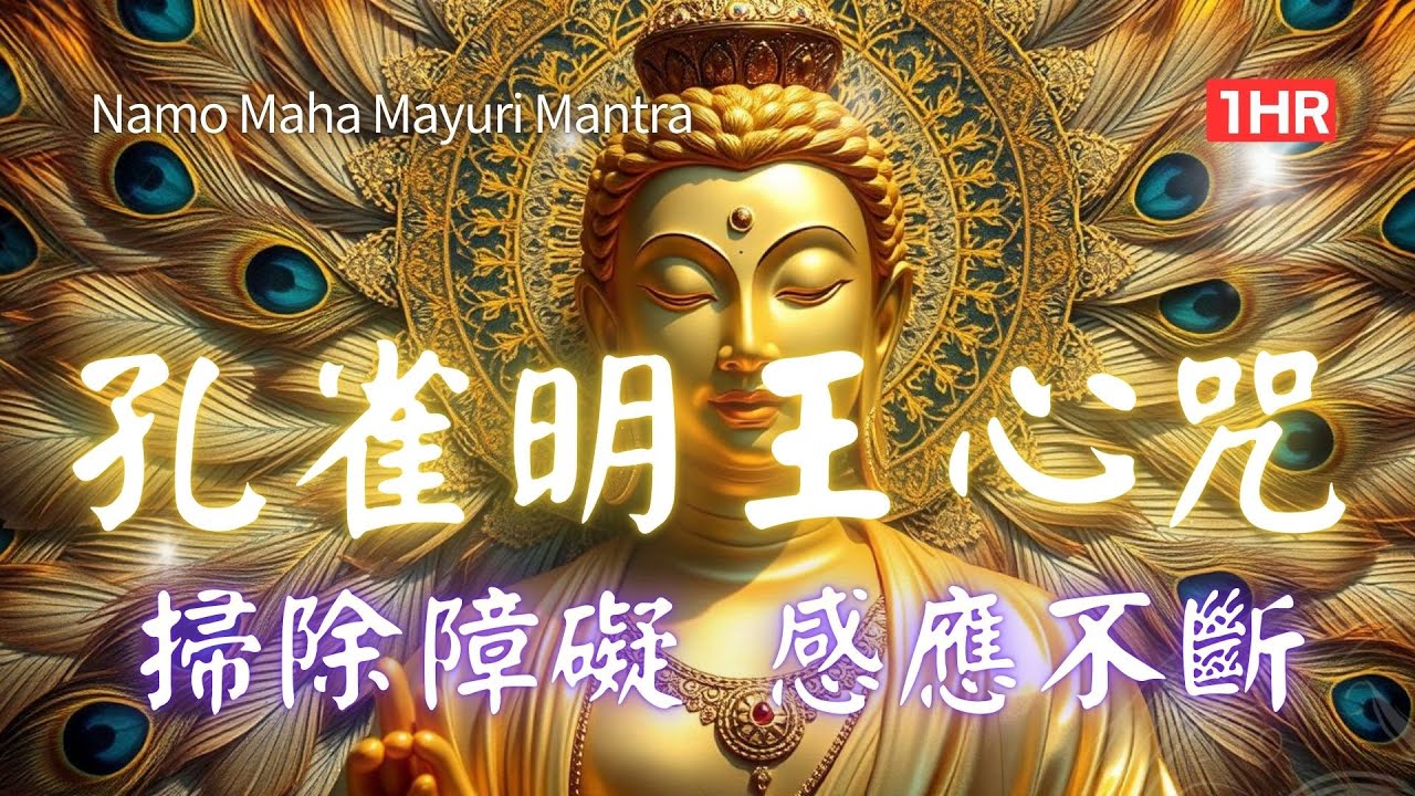 1hrs 大孔雀明王心咒 Mantra of Mahāmāyūrī / maha mayuri mantra 解毒避邪、消災解厄 #だい ...