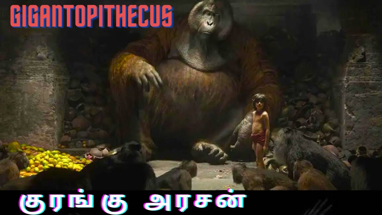 Lost Giant - Gigantopithecus || Largest Primate in History! - YouTube