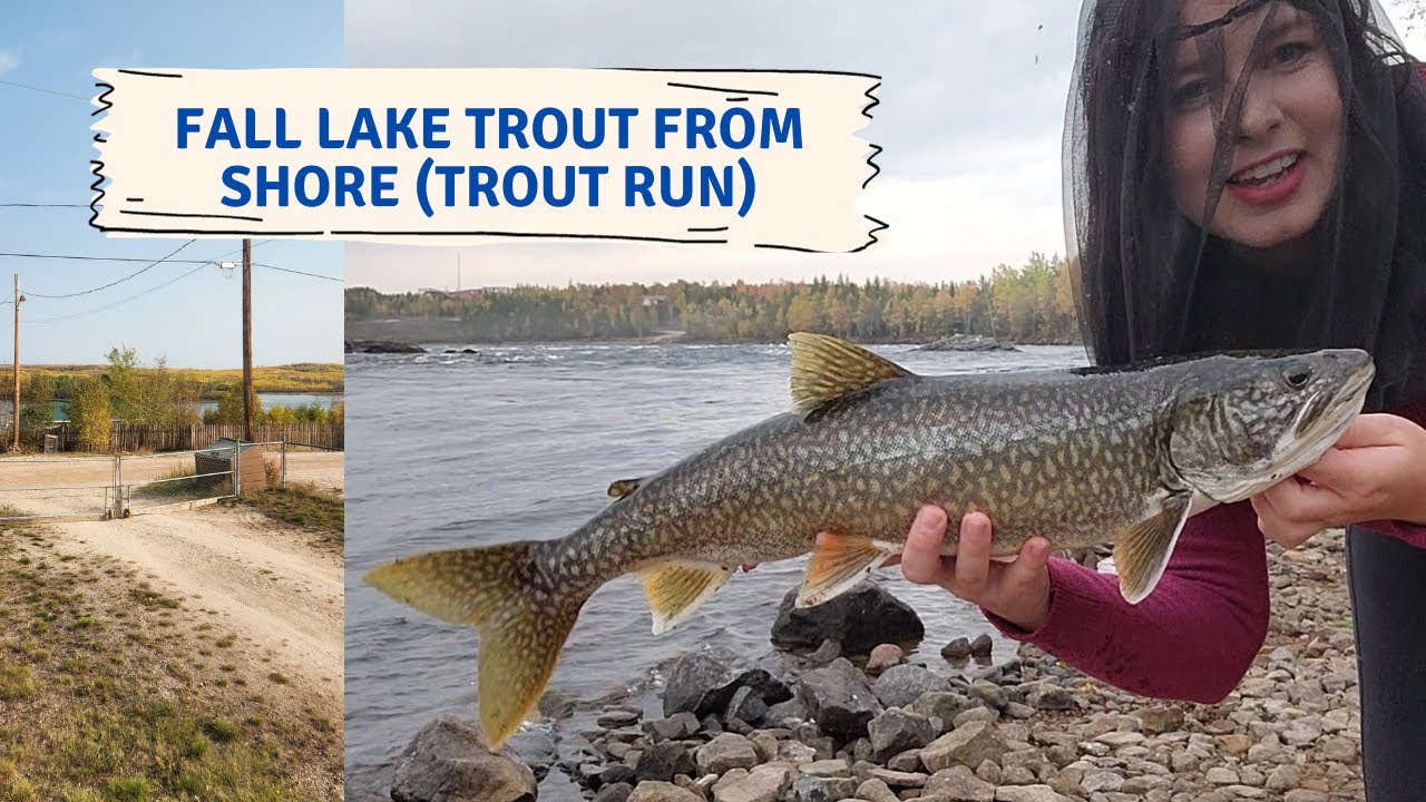 Fishing the Fall Lake Trout Run from shore! - YouTube