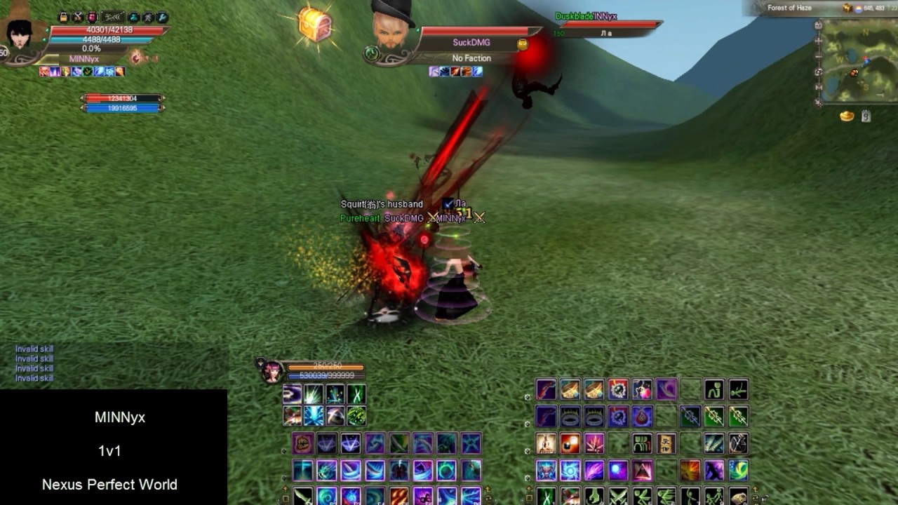 MINNyx - Nexus Perfect World | Duskblade 1v1 - YouTube