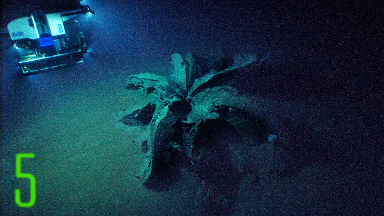 5 Deep Sea Anomalies That Can't Be Explained - YouTube