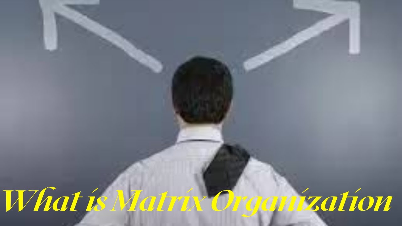 What Is Matrix Organization YouTube What Is Matrix Organization YouTube